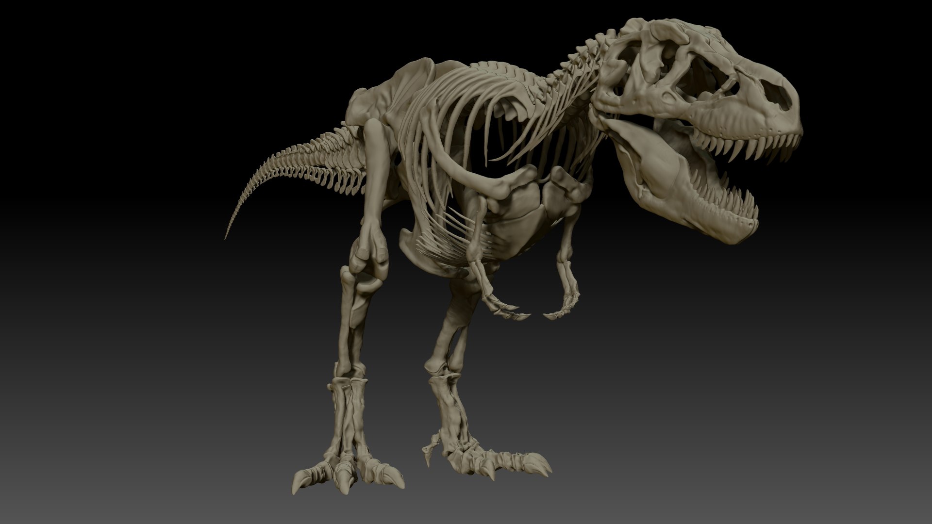 3D Tyrannosaurus Rex Skeletons - - TurboSquid 1695000