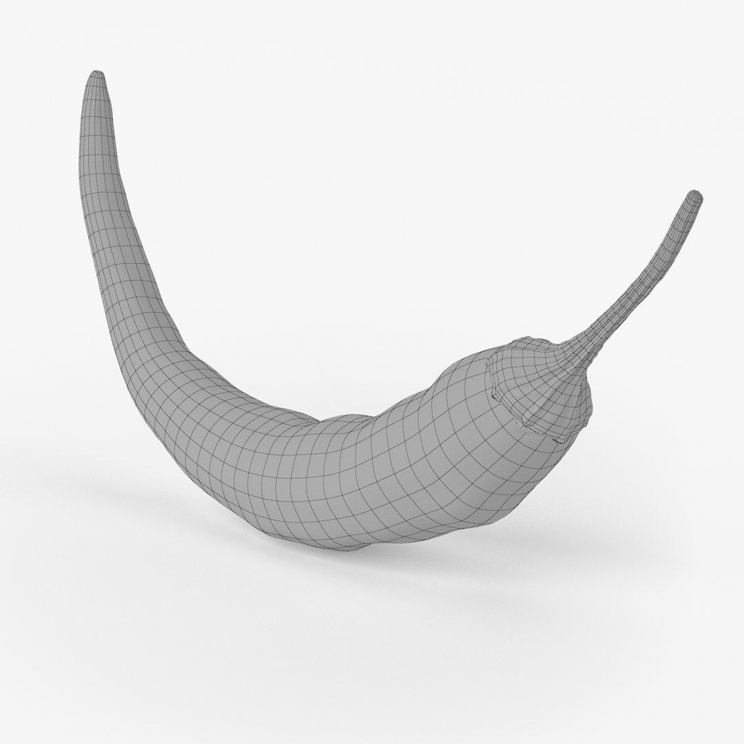 3d realistic chili real model