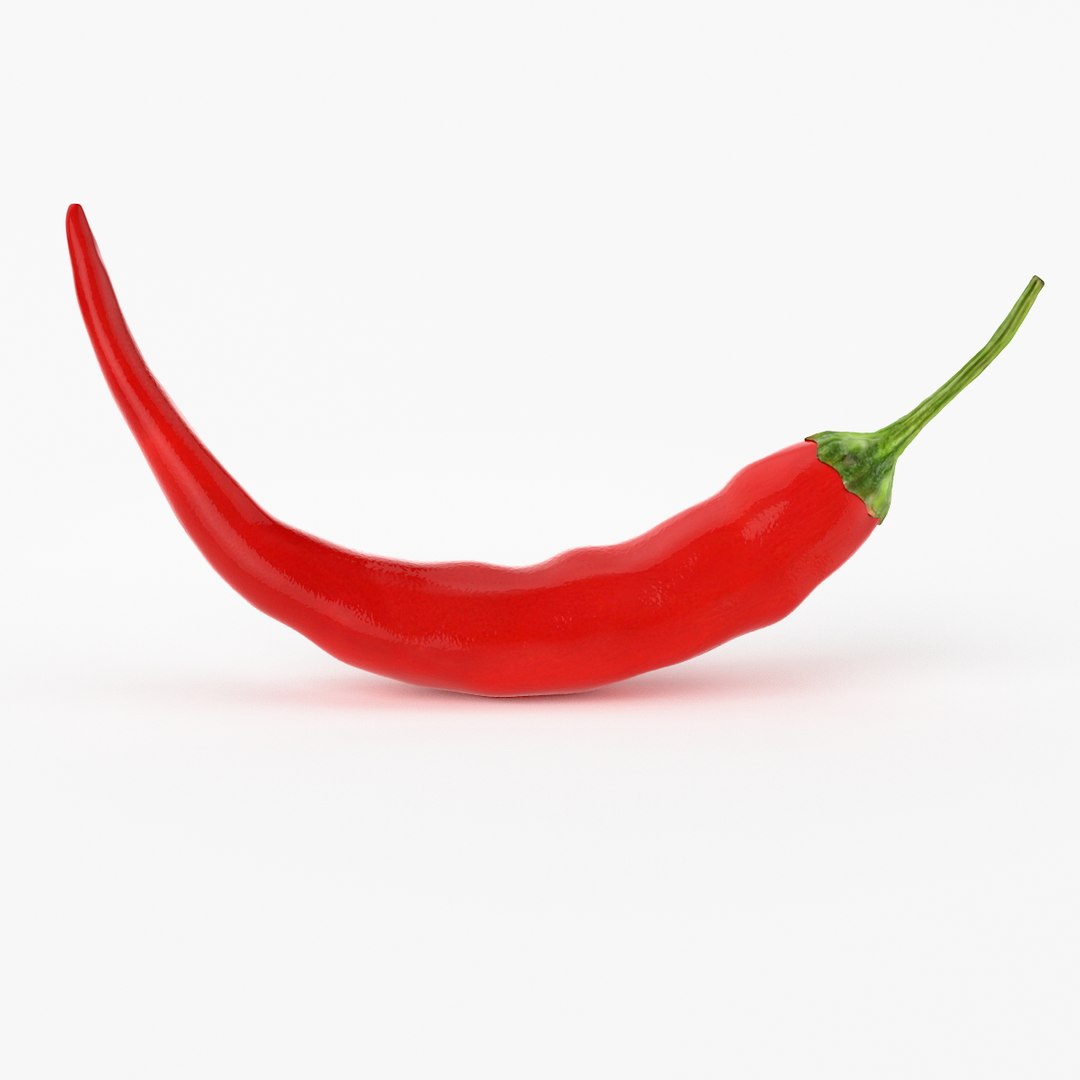 3d realistic chili real model