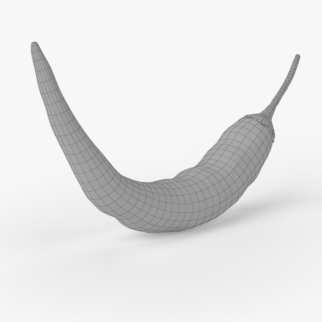 3d realistic chili real model