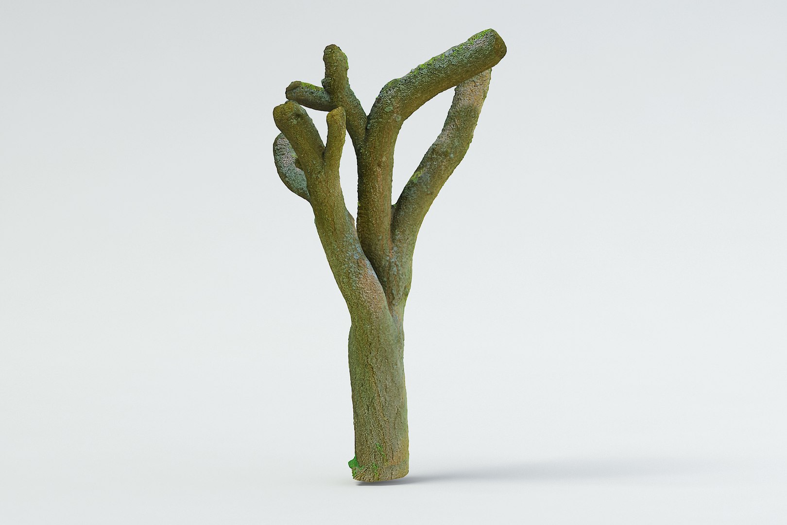 3D Tree Trunk 300cm - TurboSquid 1283085
