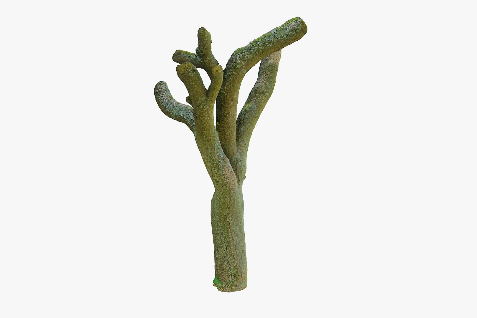 3D Tree Trunk 300cm - TurboSquid 1283085