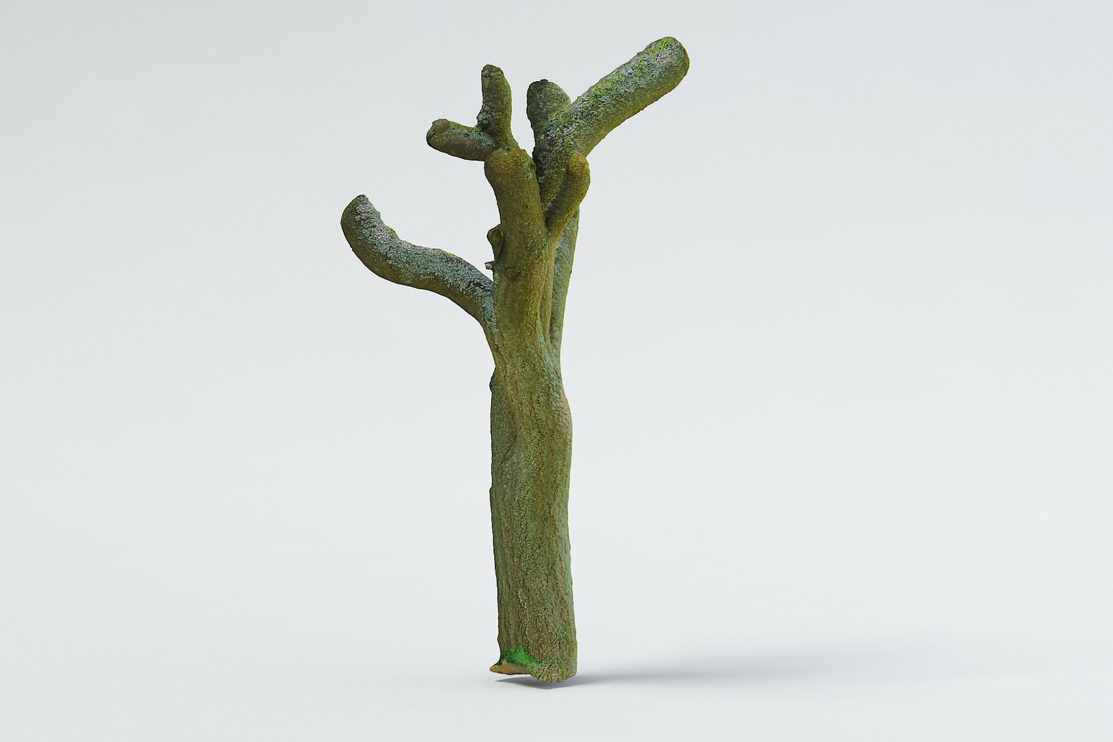 3D Tree Trunk 300cm - TurboSquid 1283085