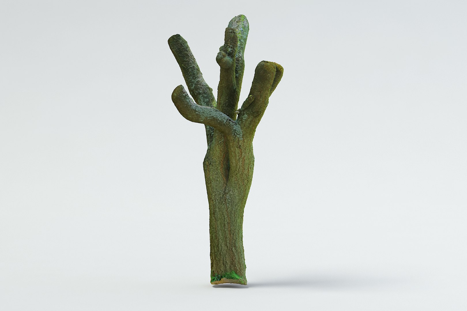 3D Tree Trunk 300cm - TurboSquid 1283085