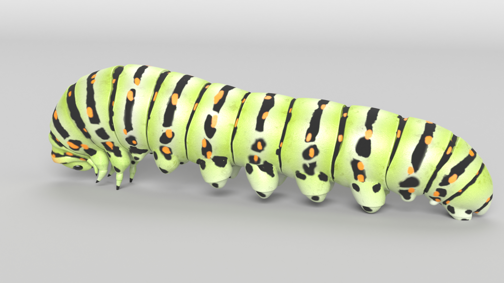 Caterpillar nature insect 3D model - TurboSquid 1663025