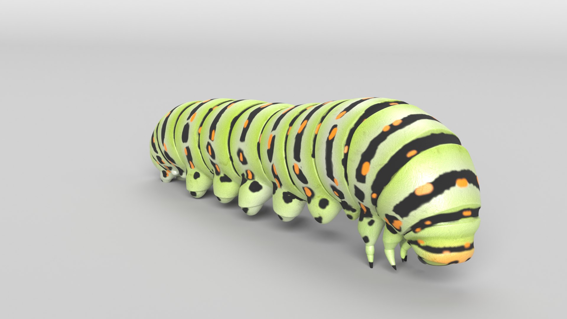 Caterpillar Nature Insect 3D Model - TurboSquid 1663025
