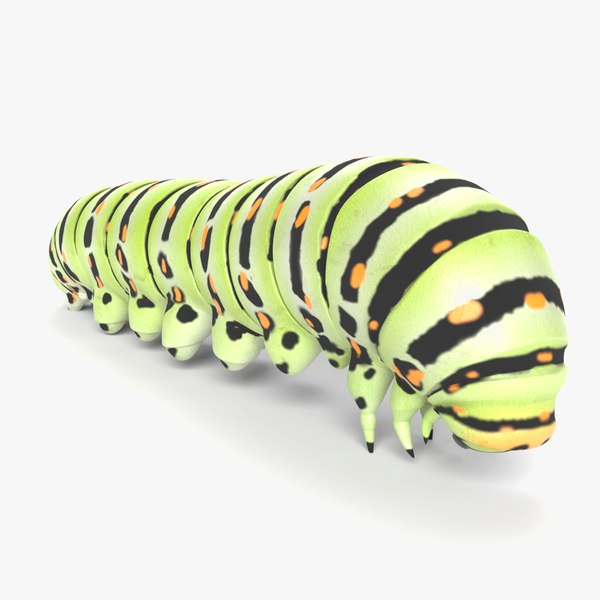 Caterpillar nature insect 3D model - TurboSquid 1663025