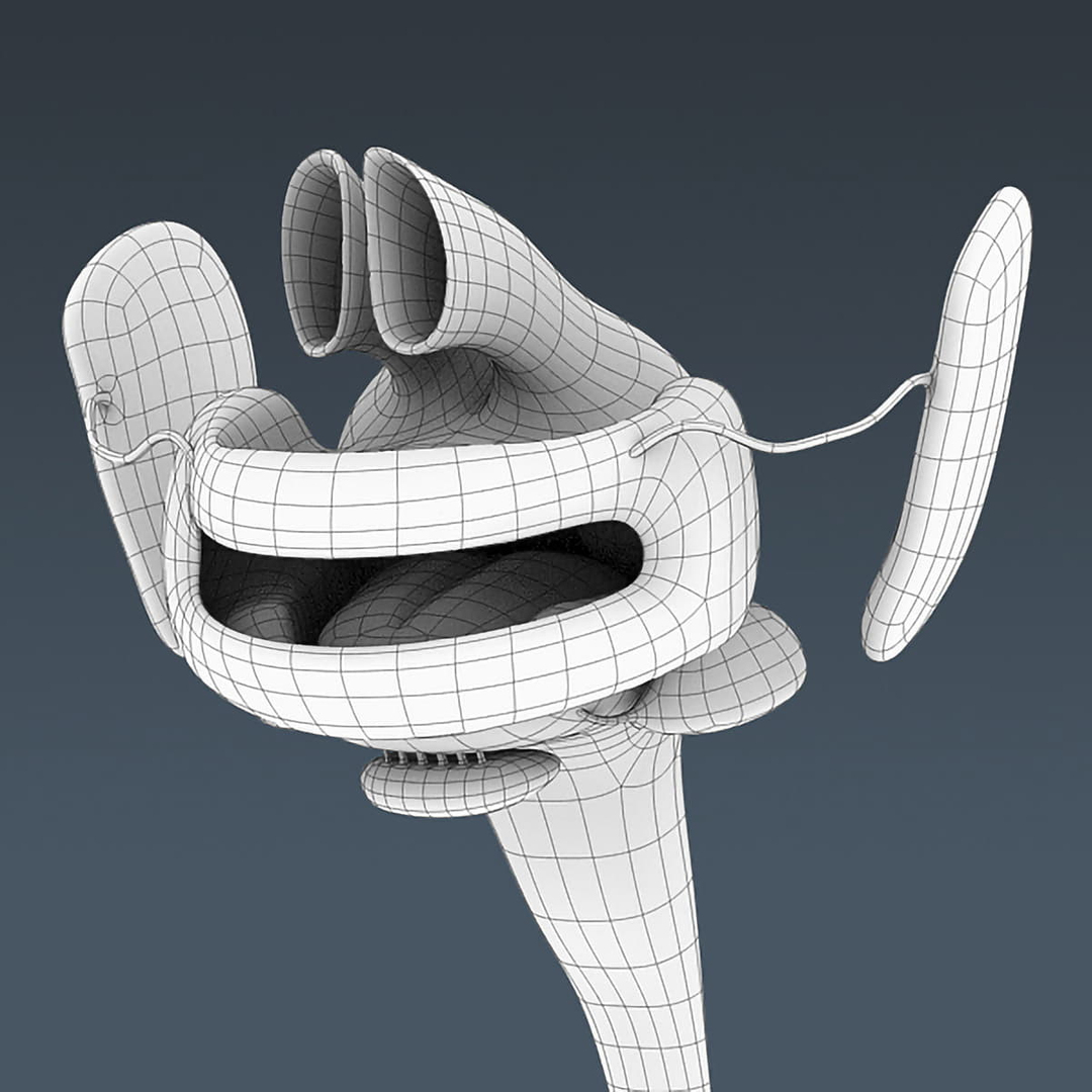 3d model of human digestive - organ anatomy