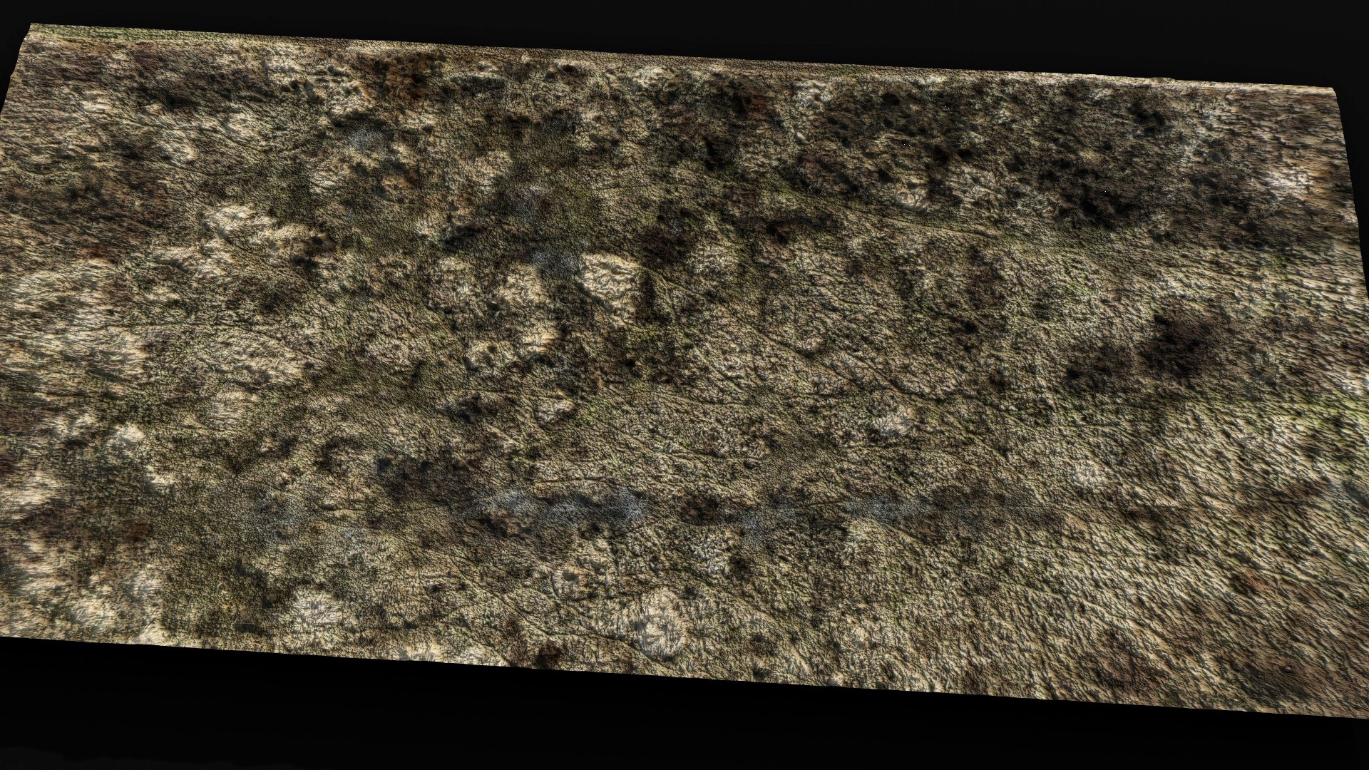 3D Landscape Plants Bushes Field Large Area Part2 Drone Scan Model ...