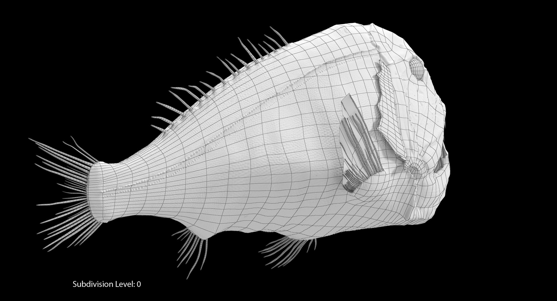Fangtooth Fish 3d Model