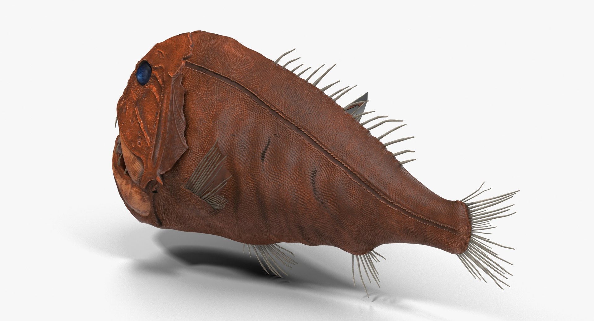 Fangtooth Fish 3d Model
