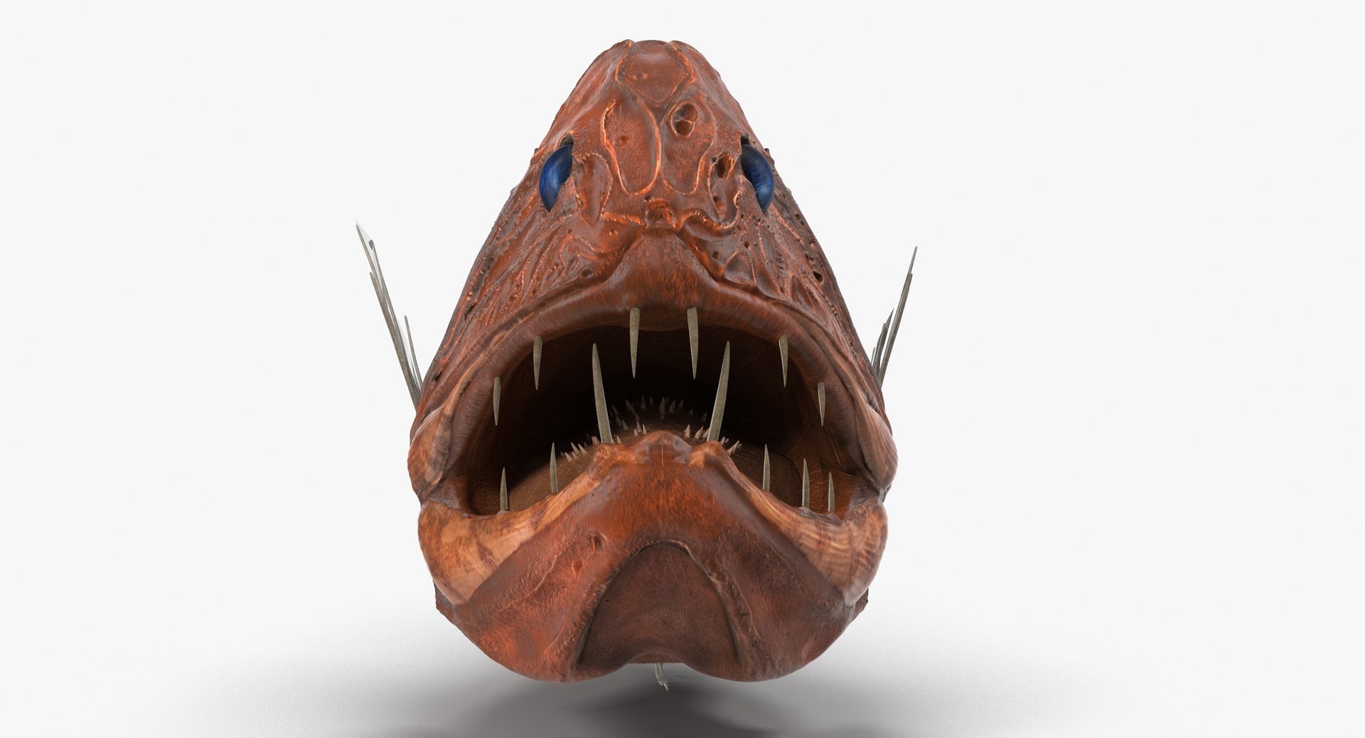 Fangtooth Fish 3d Model