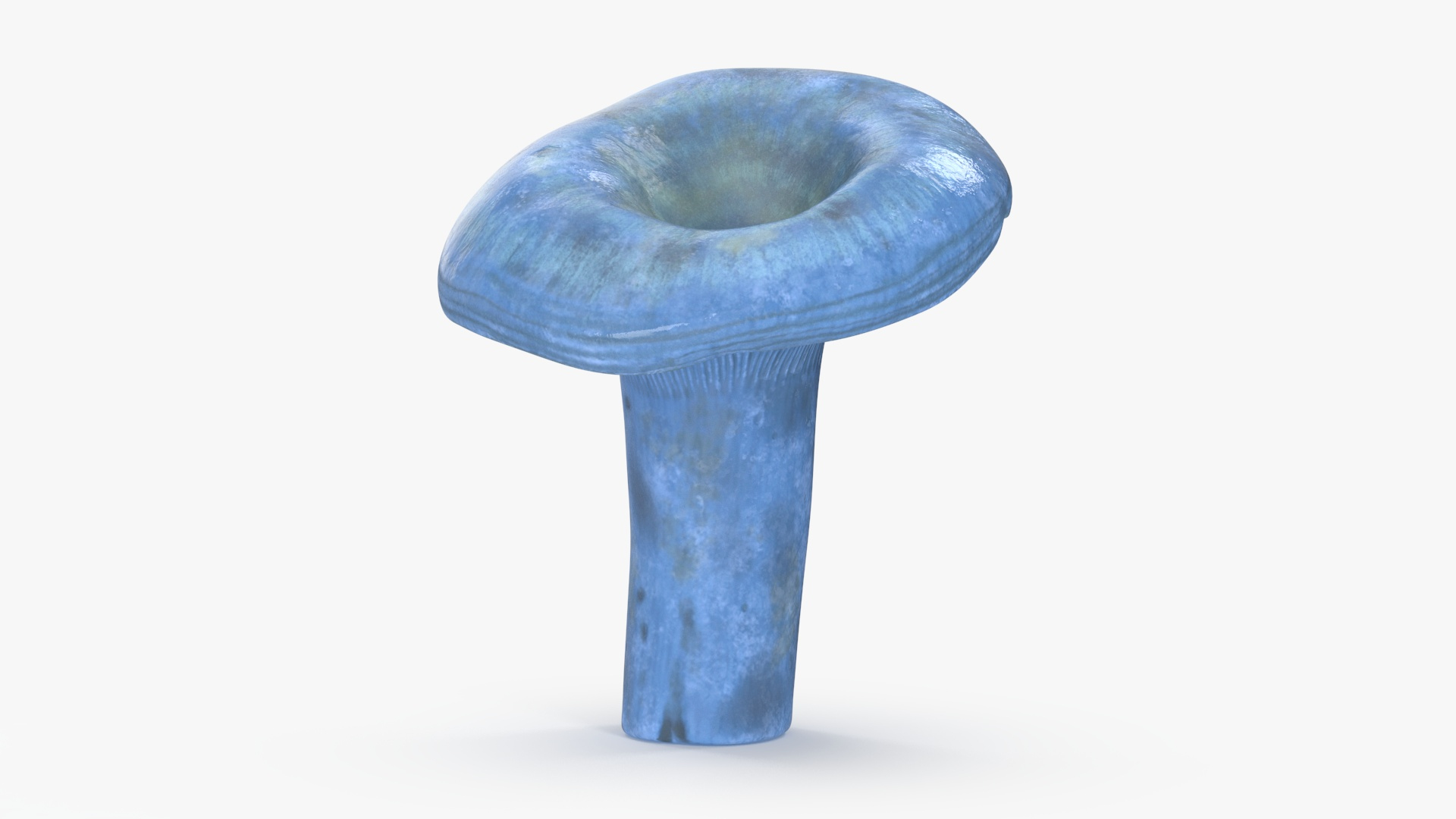 Lactarius Indigo 3D Model - TurboSquid 2215803