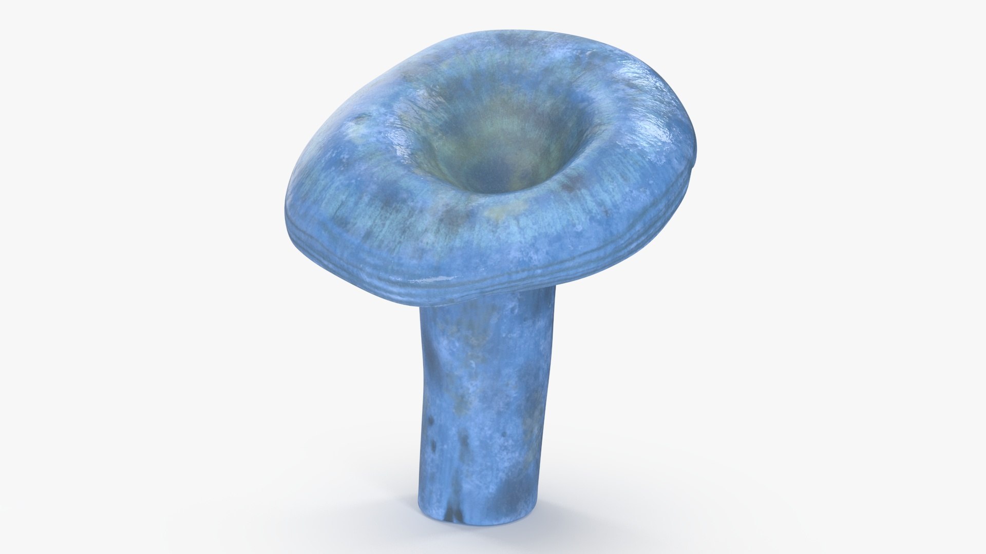 Lactarius Indigo 3D Model - TurboSquid 2215803