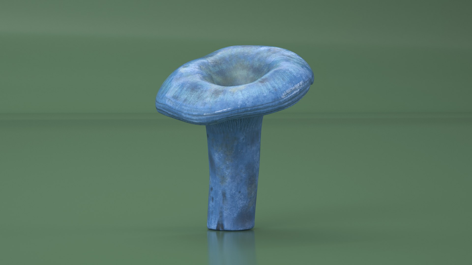 Lactarius Indigo 3D Model - TurboSquid 2215803