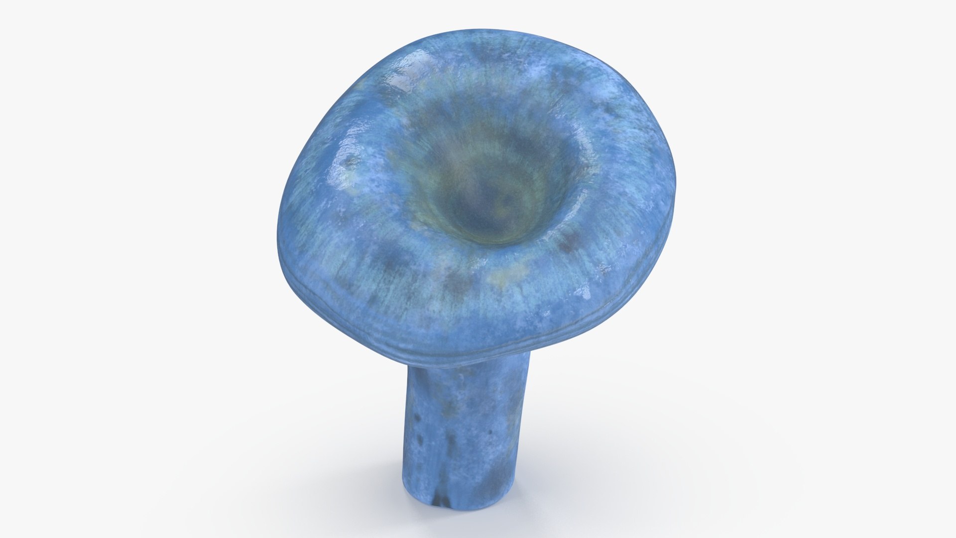 Lactarius Indigo 3D Model - TurboSquid 2215803