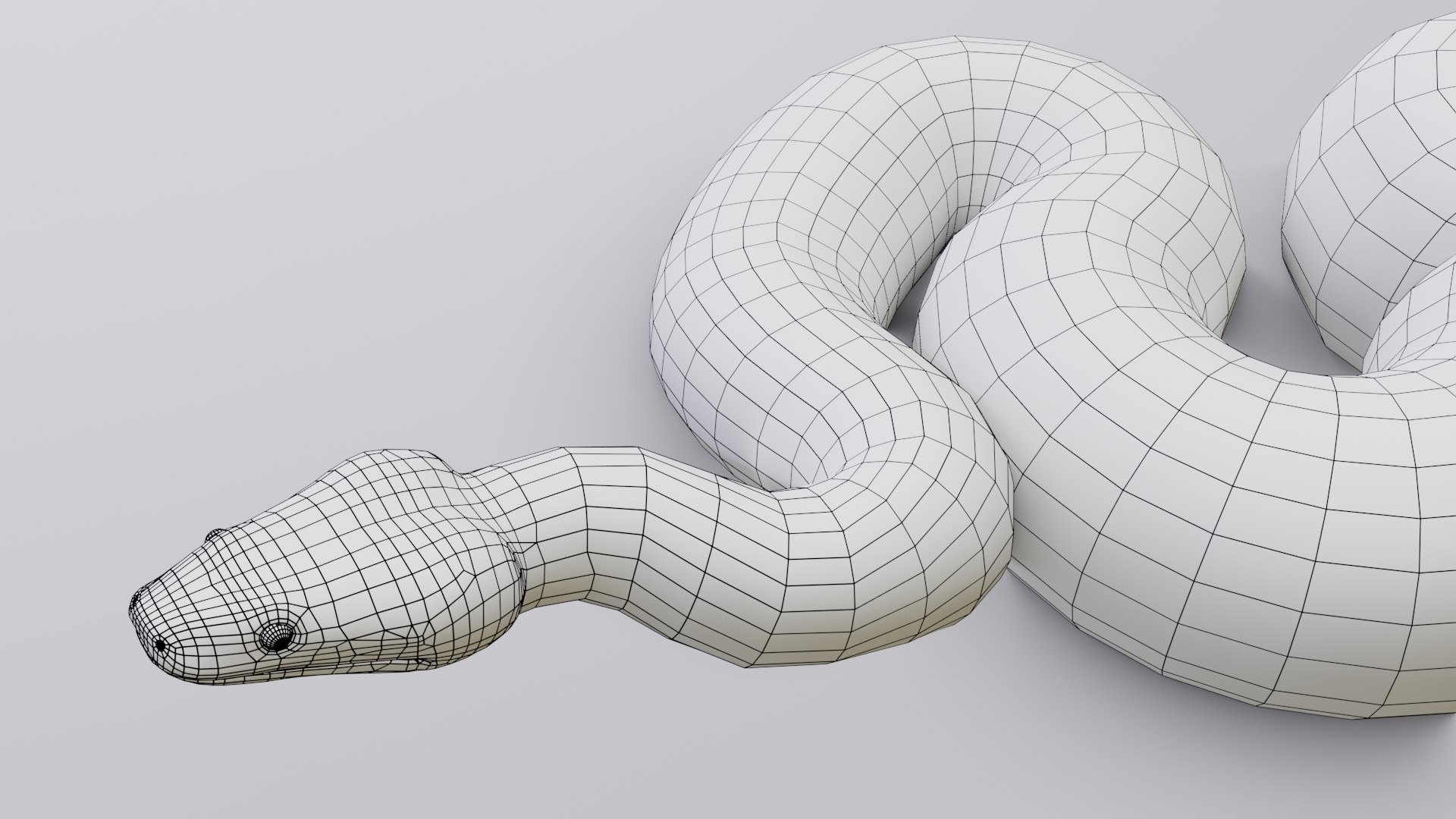 3ds max boa constrictor