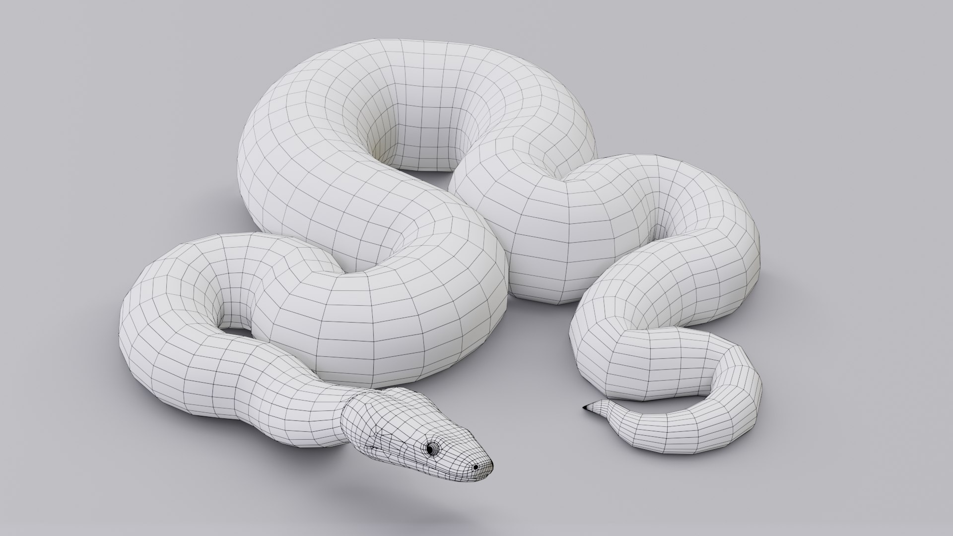 3ds max boa constrictor