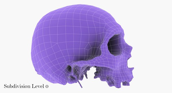 3D real skull model - TurboSquid 1397304