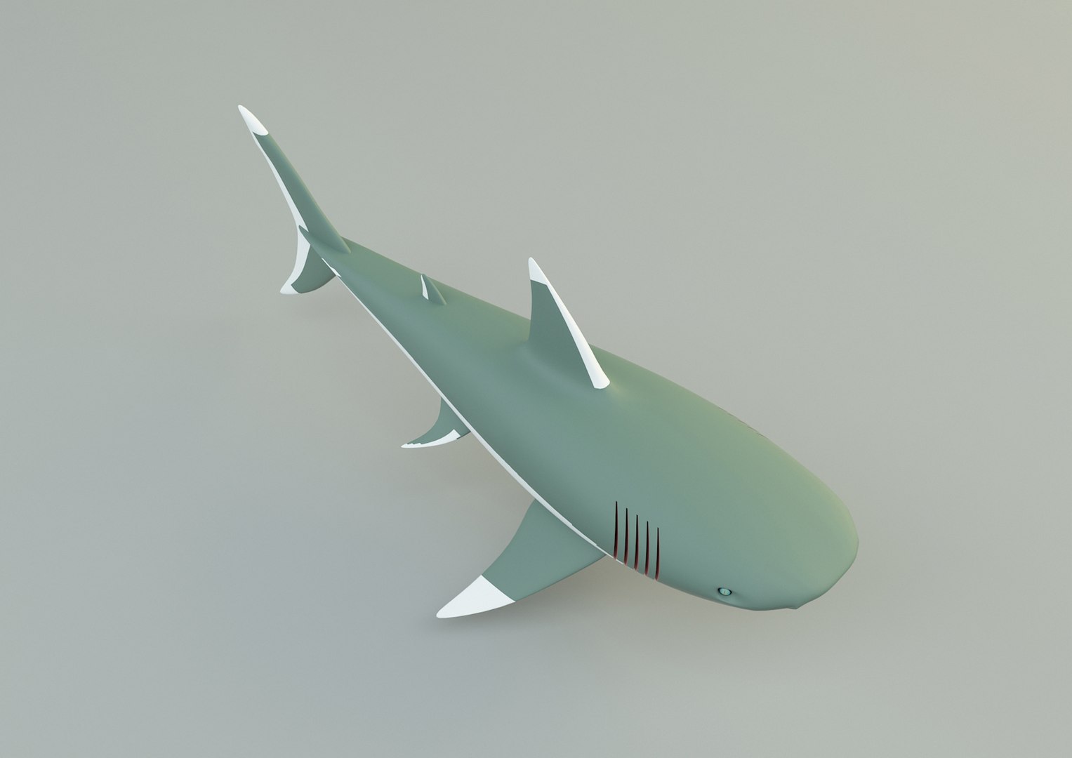 Megalodon Shark Model Model - TurboSquid 2067282