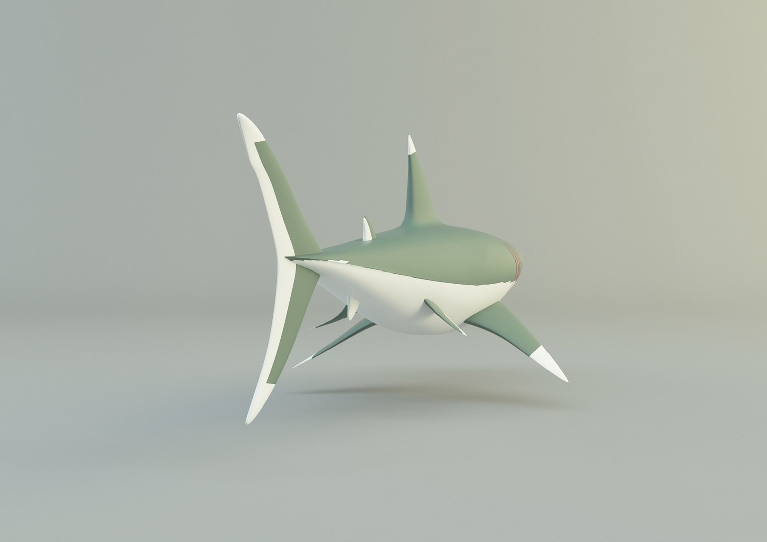 Megalodon Shark Model Model - TurboSquid 2067282