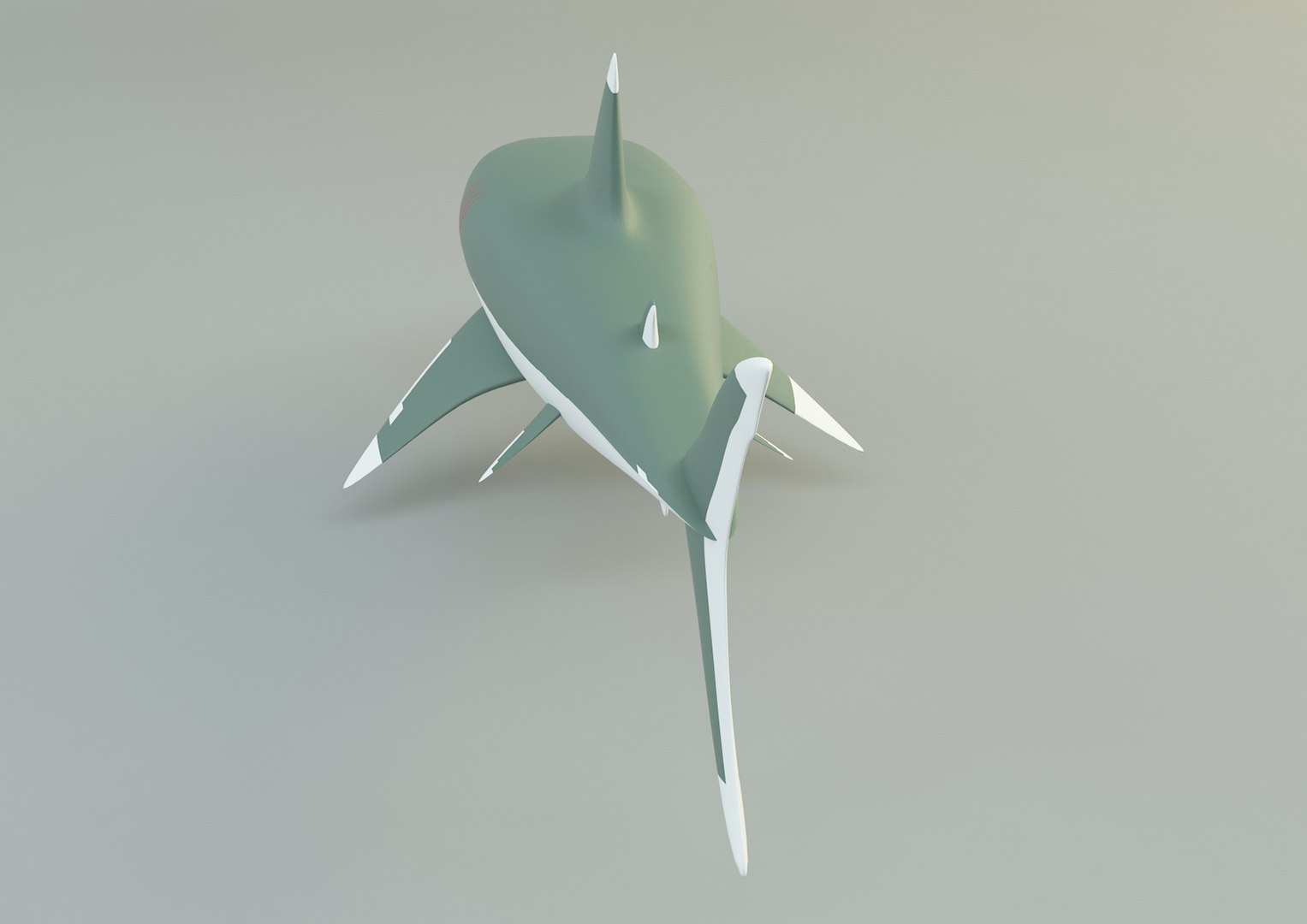 Megalodon Shark Model Model - TurboSquid 2067282