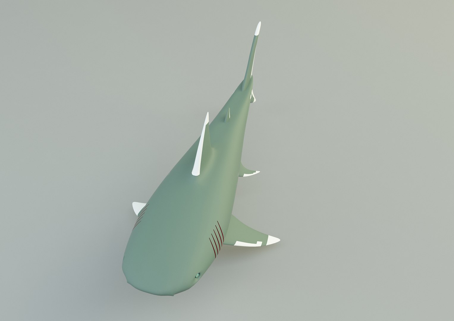 Megalodon Shark Model Model - TurboSquid 2067282