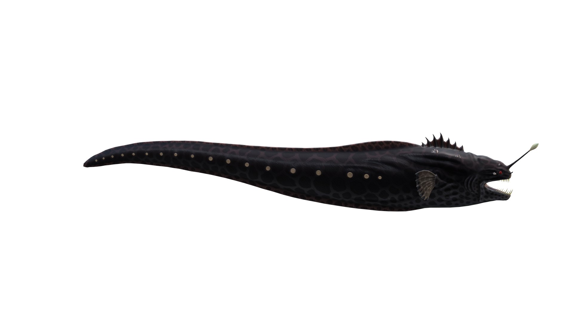 Atlantic Wolffish Fish 3D Model 3D Model - TurboSquid 2311943