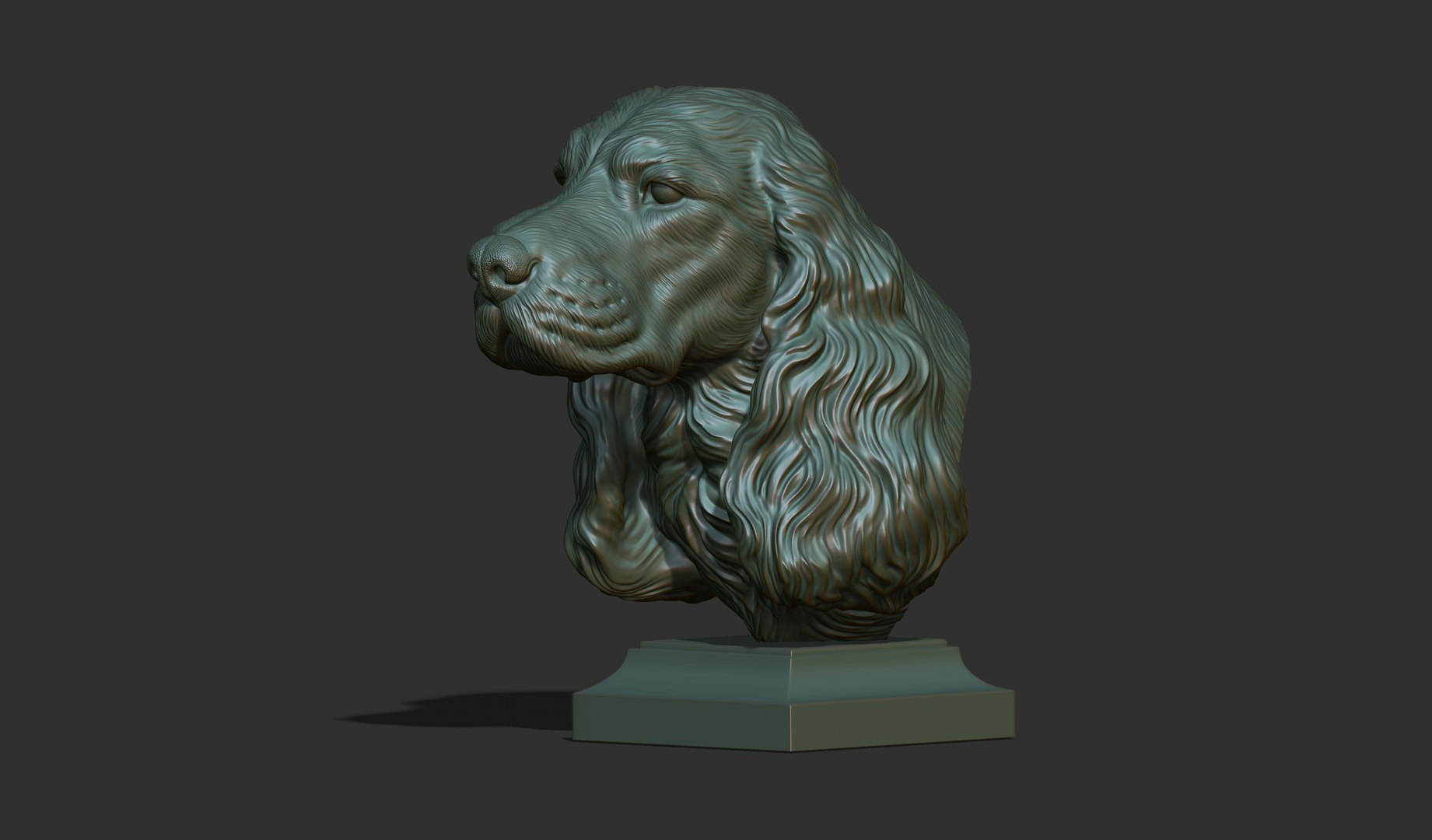 3D English Cocker Spaniel Bust Model - TurboSquid 2134668