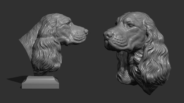 Cocker Spaniel 3D Models for Download | TurboSquid