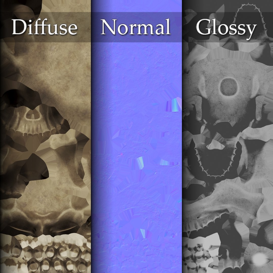 3d Skull Jaw Teeths Model