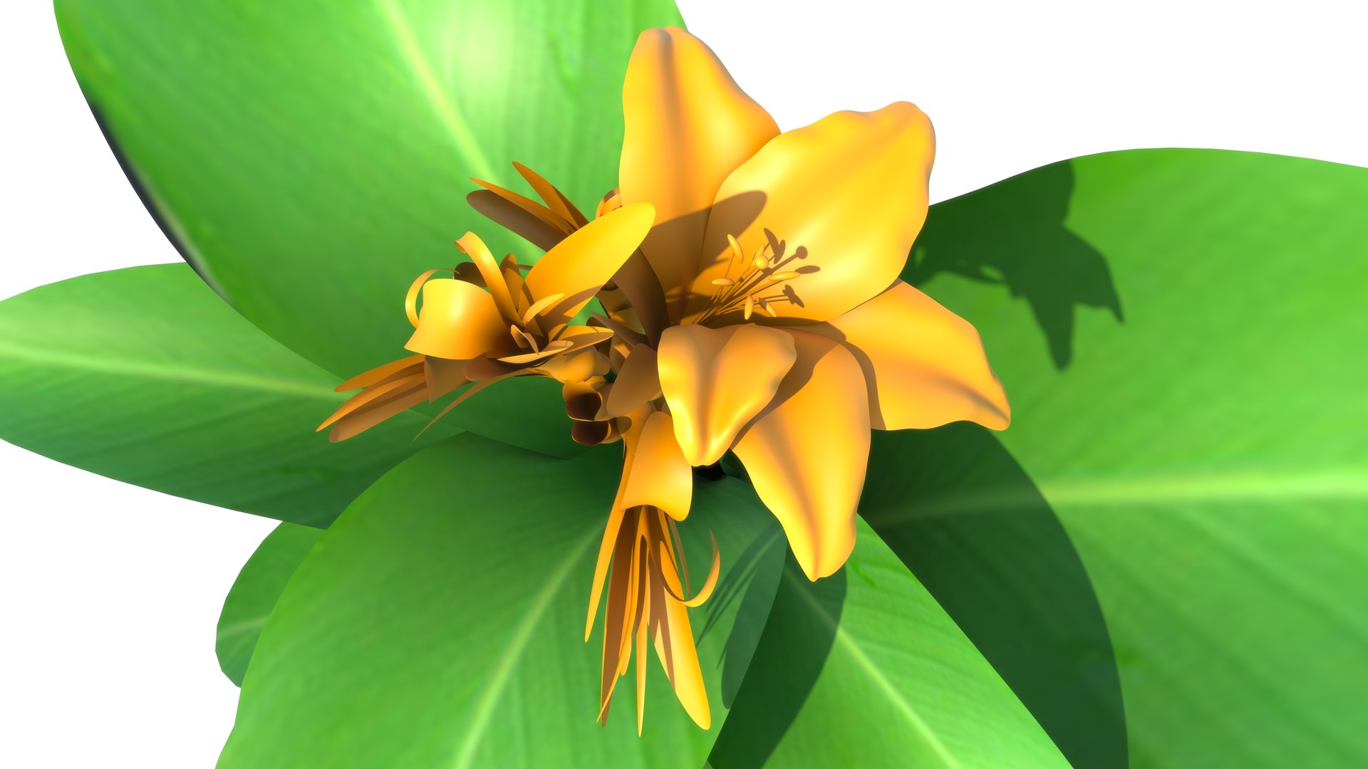 Canna Indica Plant 3D Model - TurboSquid 2185763