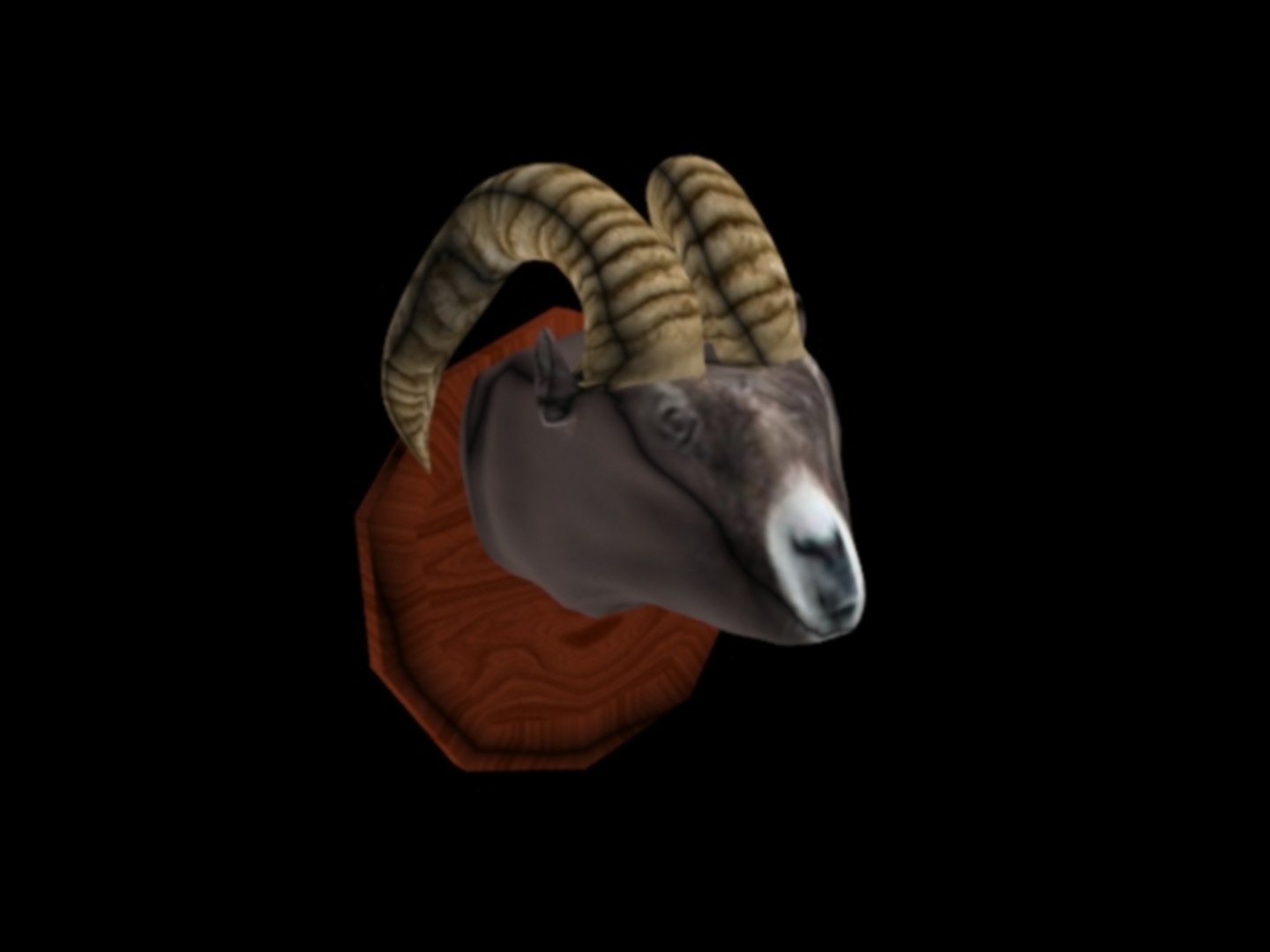 3d Model Big Horn Ram