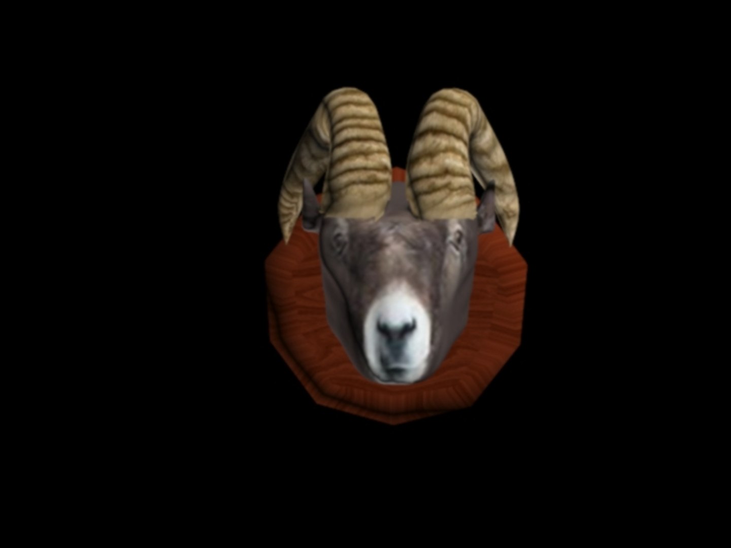3d Model Big Horn Ram
