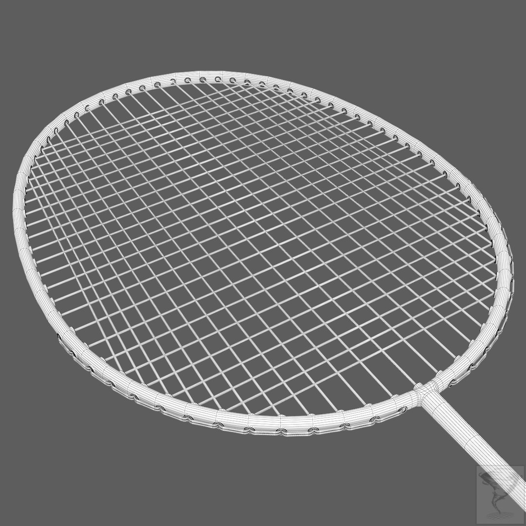 Max Badminton Racket