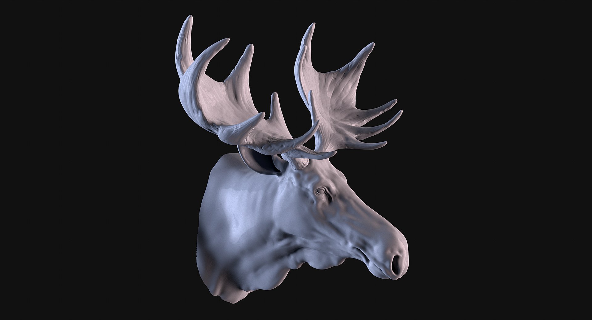 3D Moose Head - TurboSquid 2175325