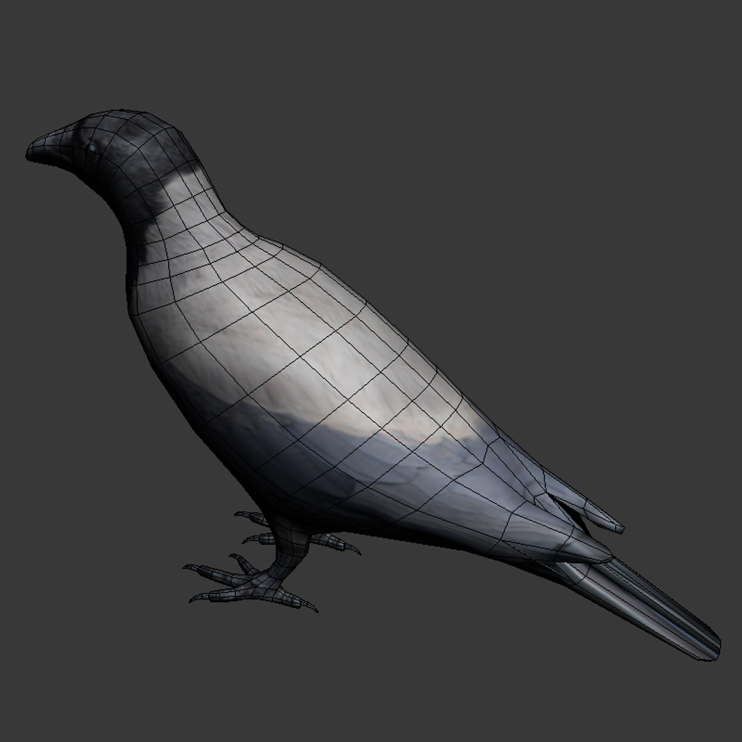 hooded crow 3ds
