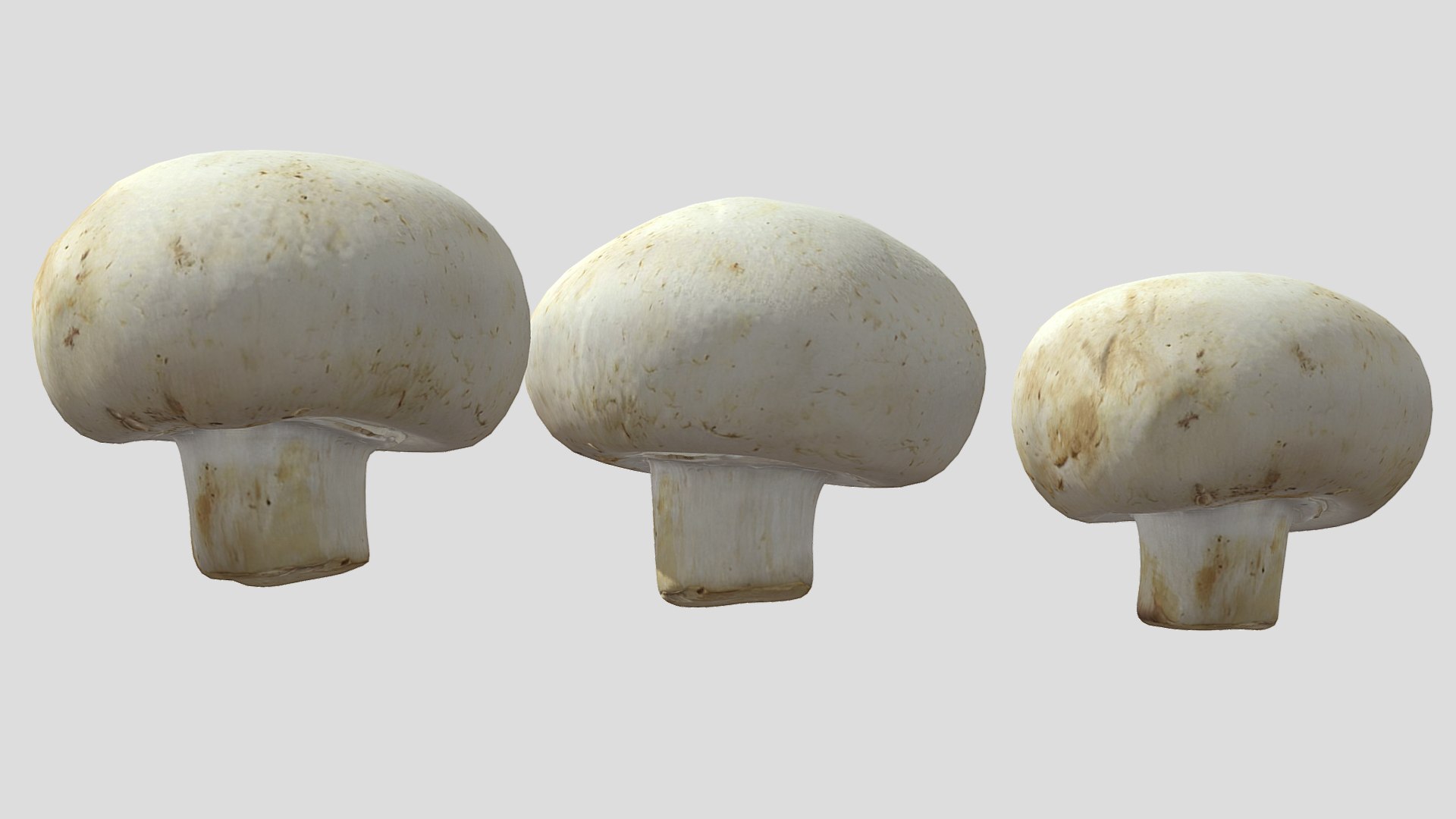 3D Button Mushroom Low Poly Model - TurboSquid 2317527