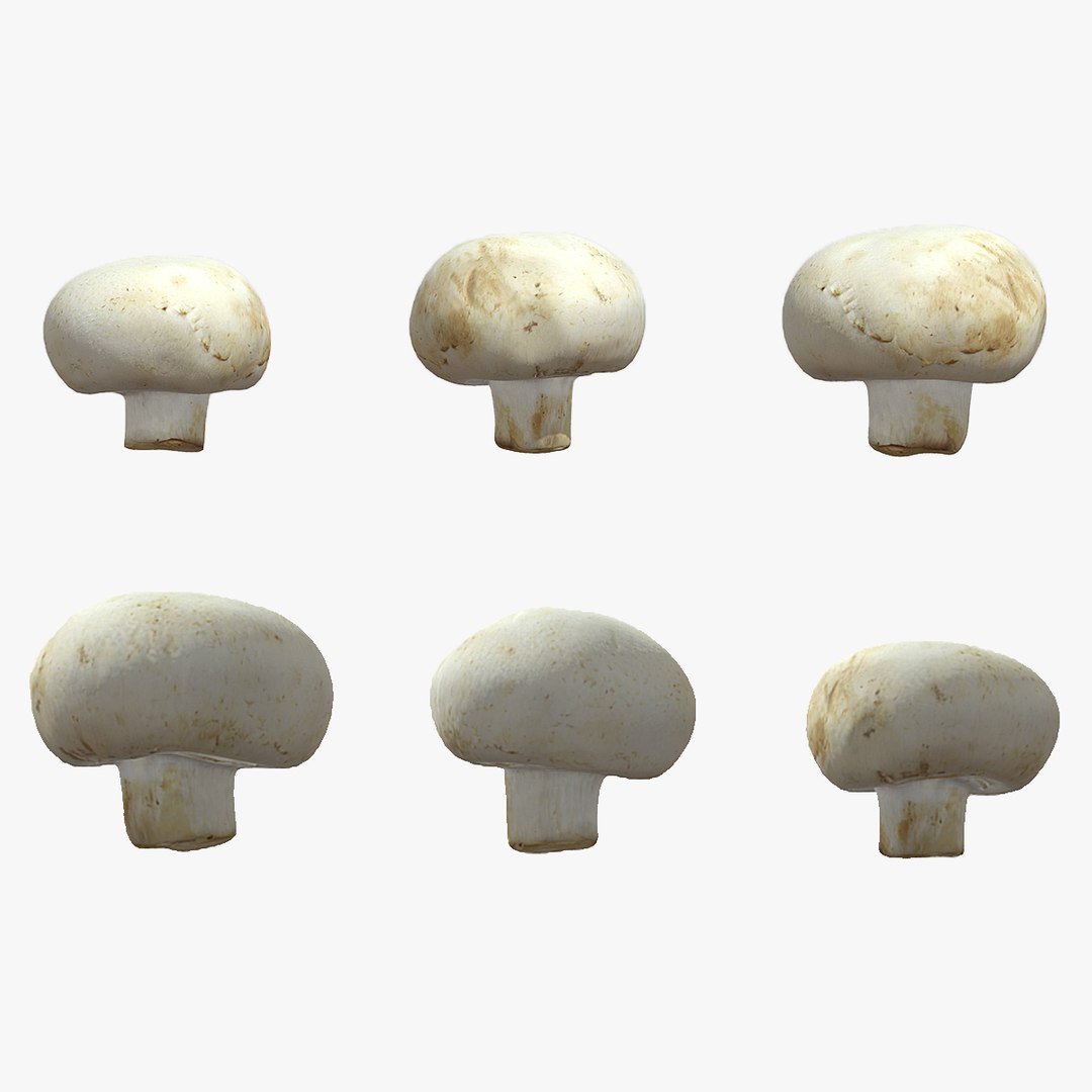 3D Button Mushroom Low Poly Model - TurboSquid 2317527