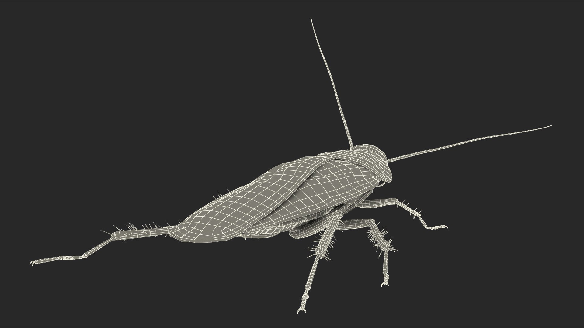 Animated Cockroach Spinning Rigged For Cinema 4D 3D Model - TurboSquid ...