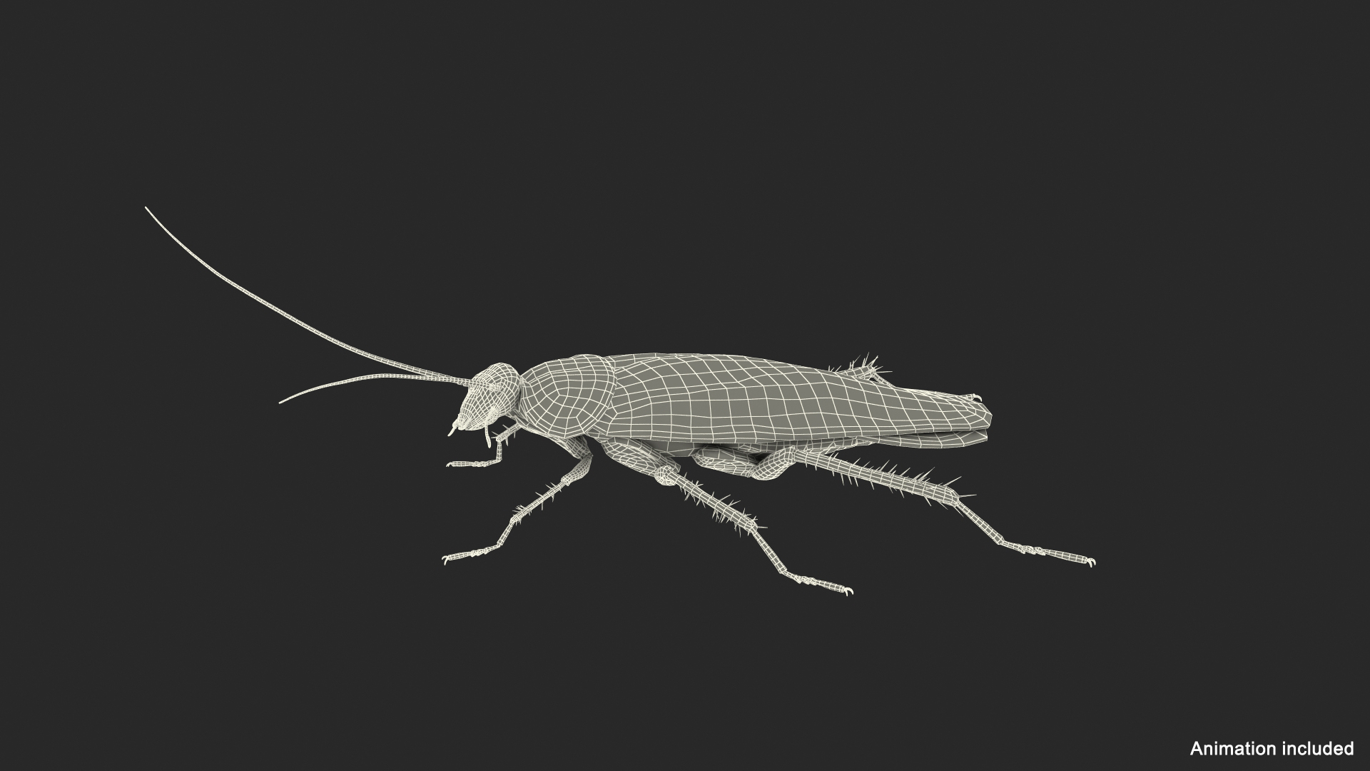Animated Cockroach Spinning Rigged For Cinema 4D 3D Model - TurboSquid ...