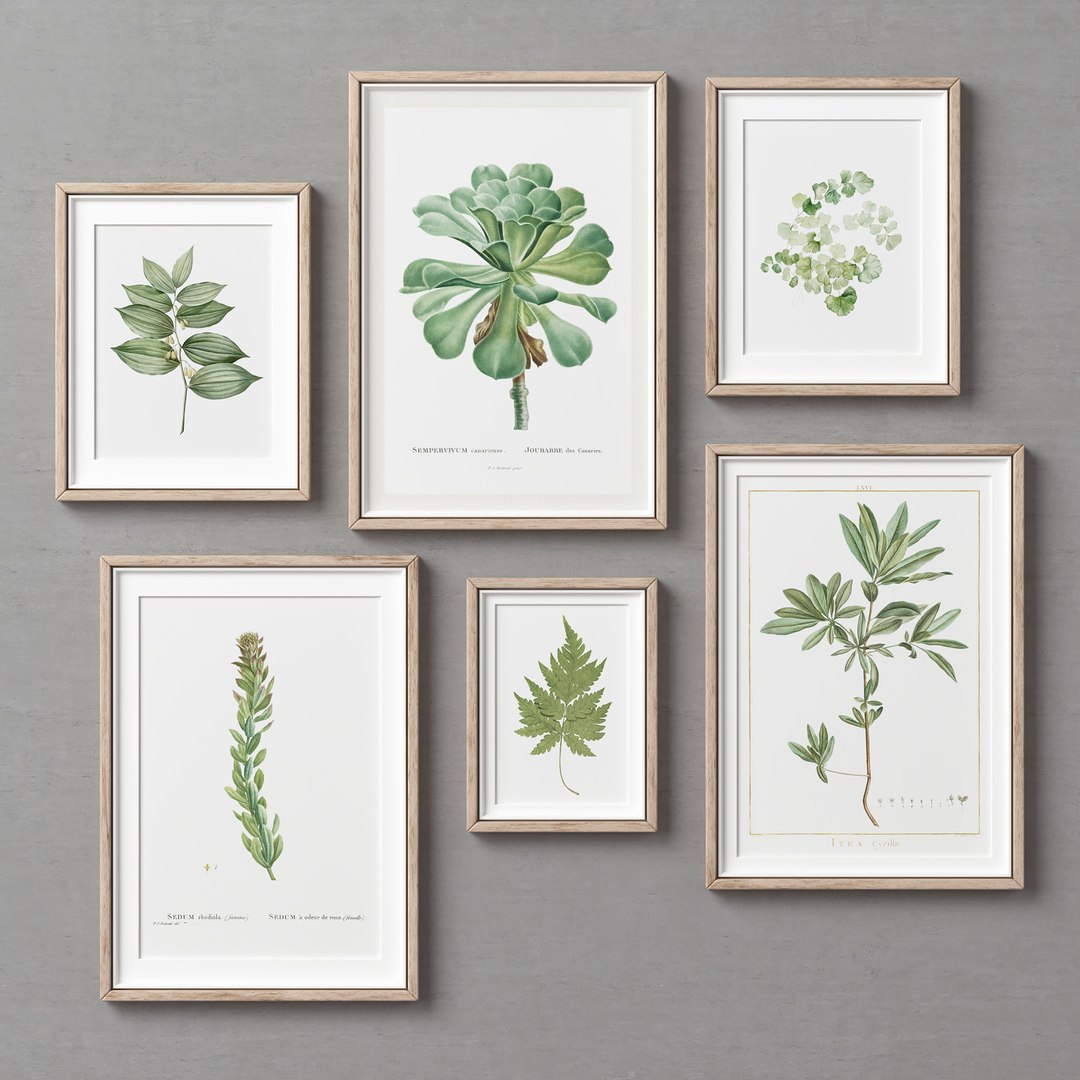 Picture Frames Set-490 3D Model - TurboSquid 2187148