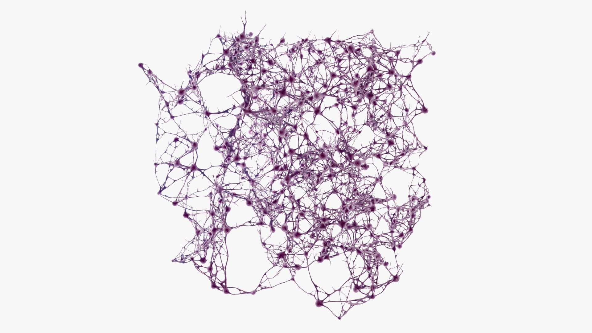 3D Neurons Network - TurboSquid 2236462