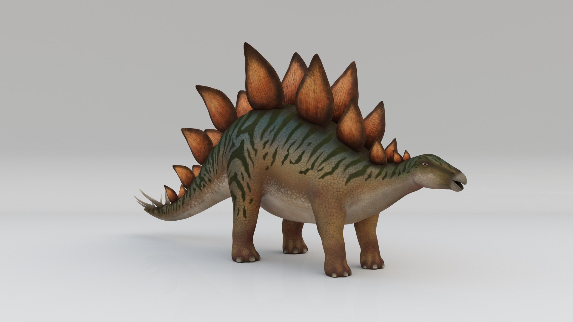3D Stegosaurus ANIMATED Model - TurboSquid 1963468