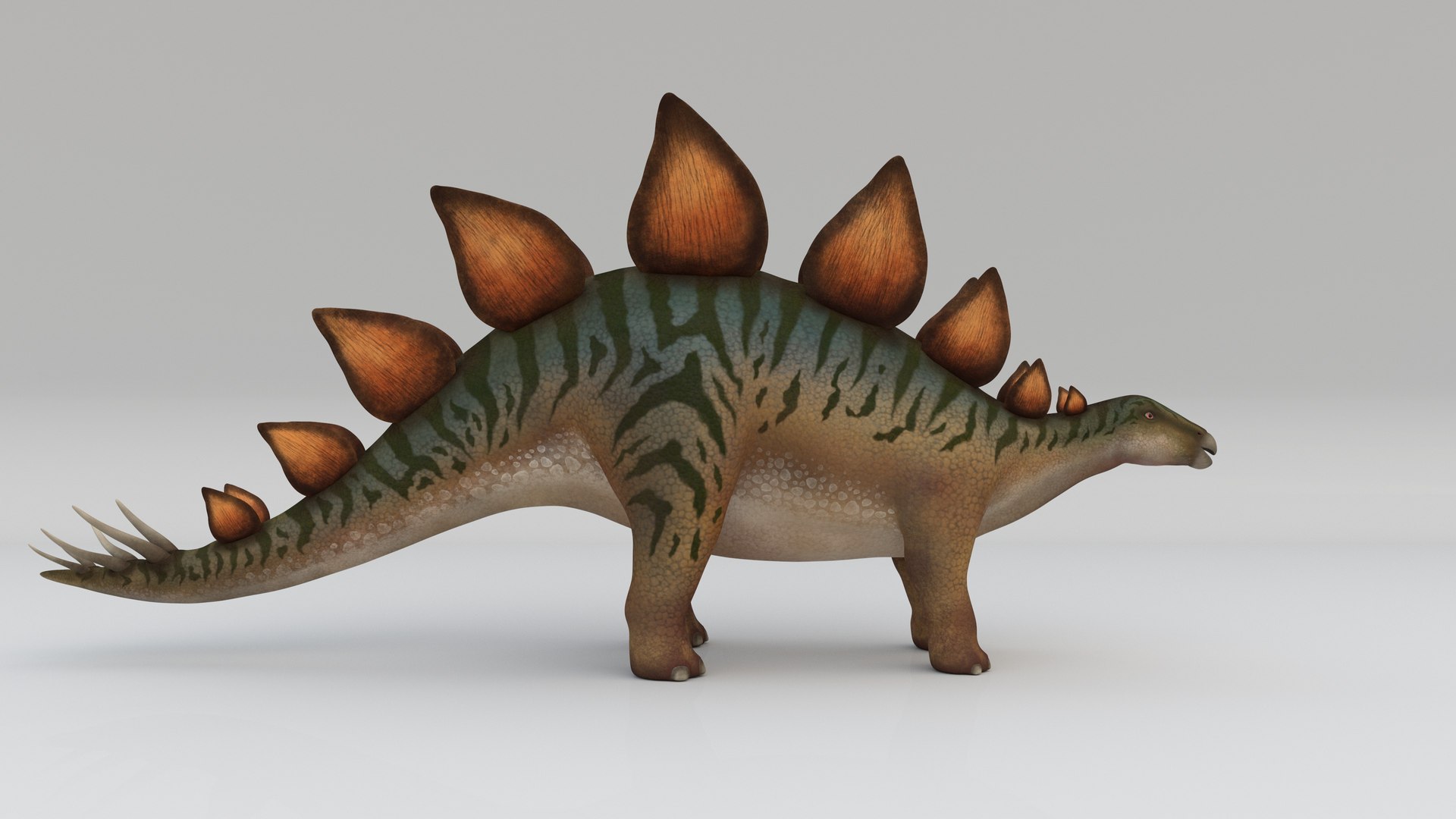 3D Stegosaurus ANIMATED Model - TurboSquid 1963468