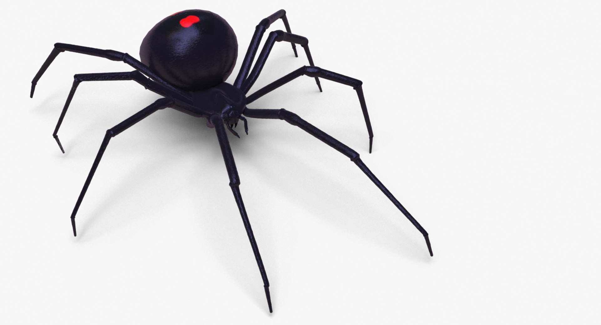 Tire Infested Spiders 3D Model - TurboSquid 1405051