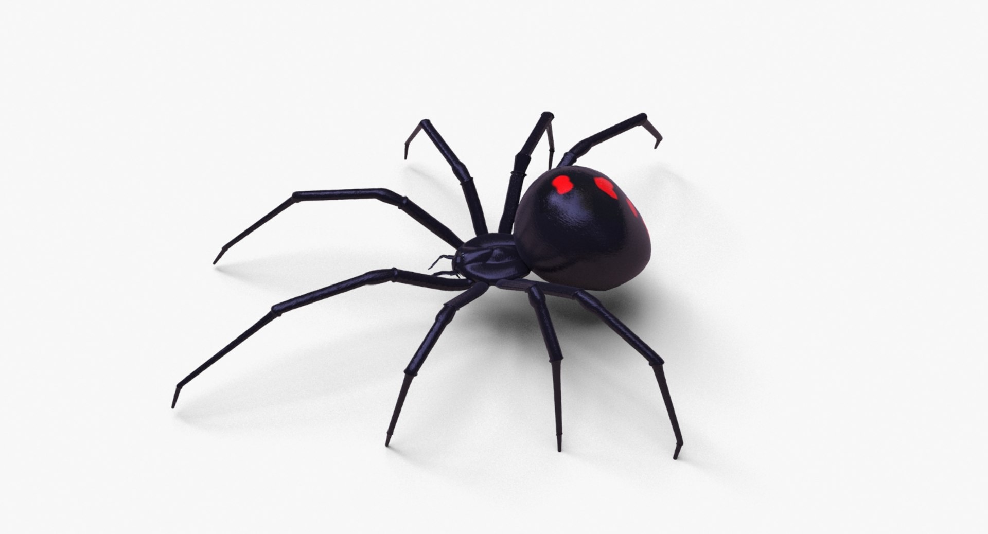 Tire Infested Spiders 3D Model - TurboSquid 1405051