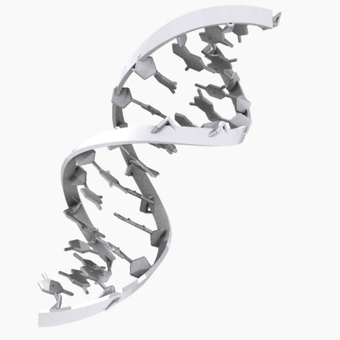 3d Dna