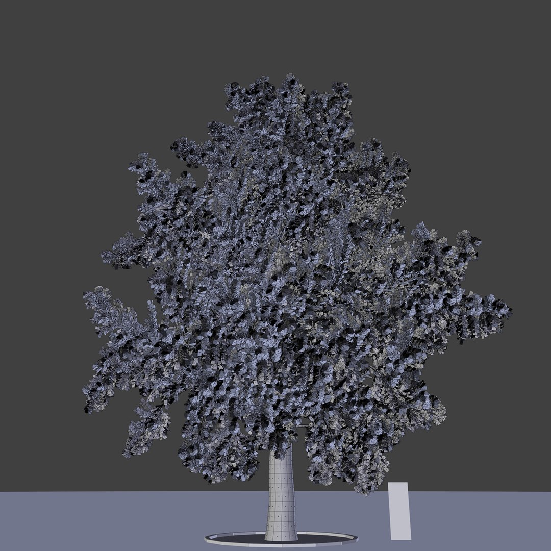 Free Max Model Tree Oak V9