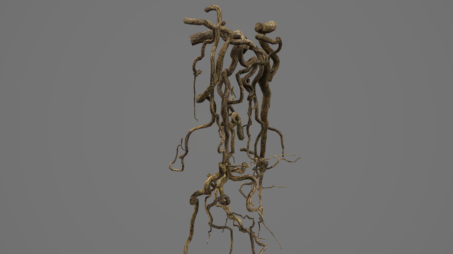 Tree Roots V7 PBR Model - TurboSquid 2381874